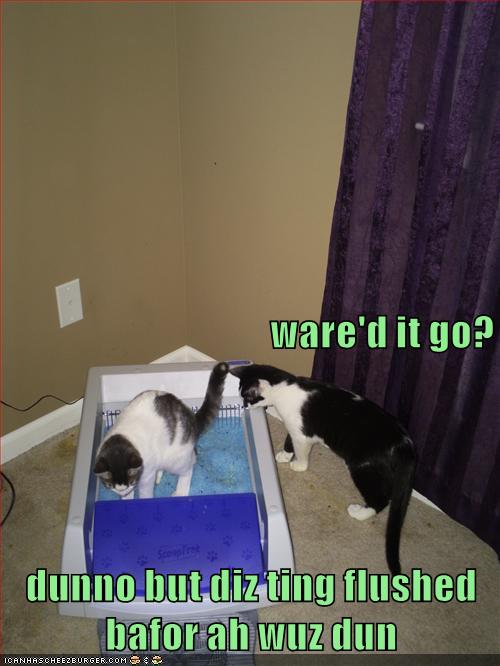 Dunno but diz ting flushed bafor ah wuz dun - Lolcats - lol | cat memes ...