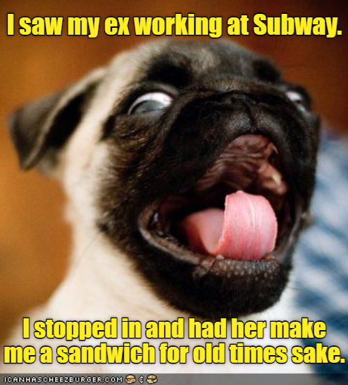 Trollers gonna troll. - I Has A Hotdog - Dog Pictures - Funny pictures ...