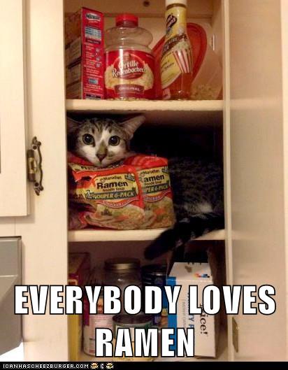 EVERYBODY LOVES RAMEN - Lolcats - lol | cat memes | funny cats | funny ...