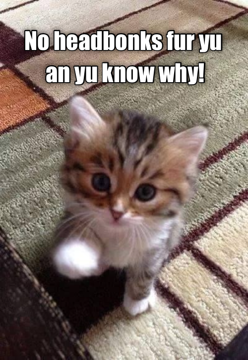 Yu maeks kitteh angry! - Lolcats - lol | cat memes | funny cats | funny ...