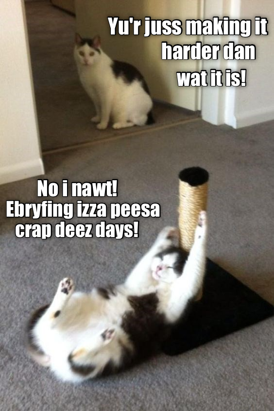 Life is getting harder! - Lolcats - lol | cat memes | funny cats ...