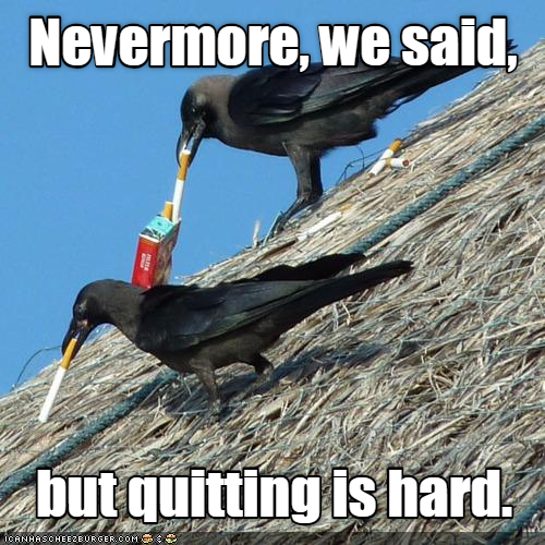 Try again! - Animal Comedy - Animal Comedy, funny animals, animal gifs