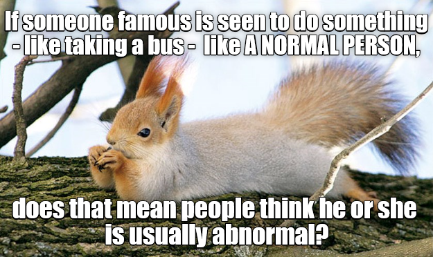 Normally abnormal - Animal Comedy - Animal Comedy, funny animals ...