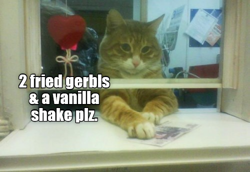 Xtra crispy - Lolcats - lol | cat memes | funny cats | funny cat ...