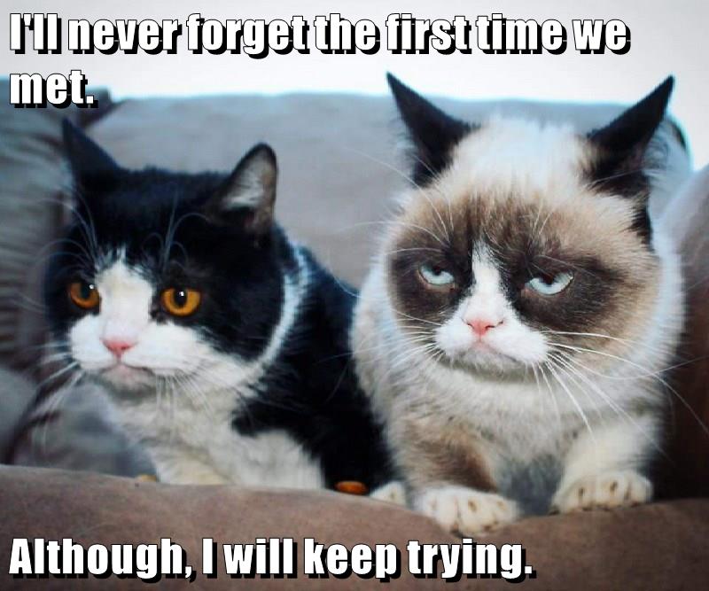 Although, I will keep trying. - Lolcats - lol | cat memes | funny cats ...