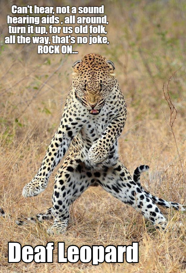 Cat of (old) Ages - Lolcats - lol | cat memes | funny cats | funny cat ...