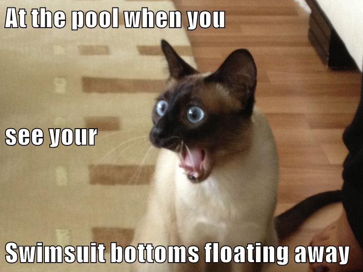 When you see your Swimsuit bottoms floating away - Lolcats - lol | cat ...