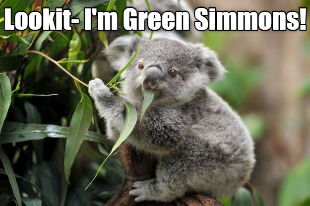 Yes you are! - Animal Comedy - Animal Comedy, funny animals, animal gifs