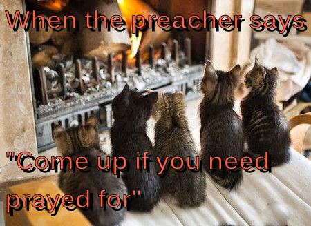 When the preacher says "Come up if you need prayed for" - Cats N ...
