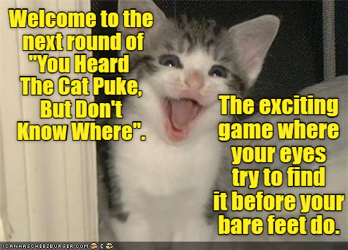 Feline Game Shows - Lolcats - lol | cat memes | funny cats | funny cat ...