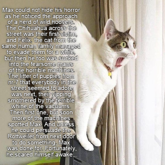 Invasion of the Wild Hoovers - Lolcats - lol | cat memes | funny cats ...