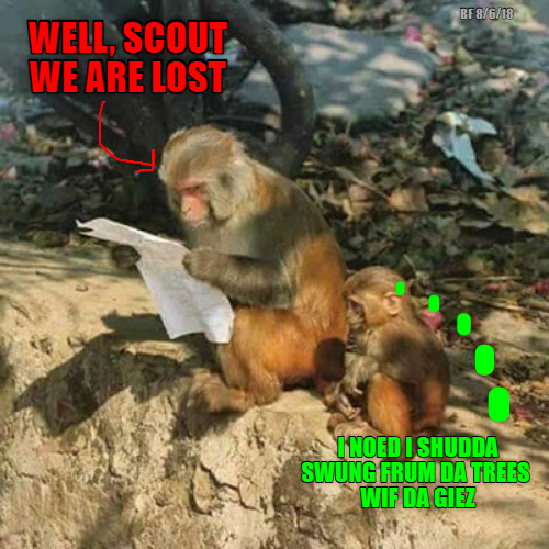 MALCOM RETHINKS HIS WEEKEND WITH DAD - Animal Comedy - Animal Comedy ...