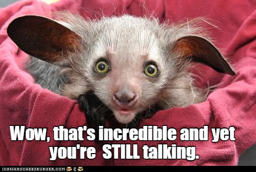 You're still talking... - Animal Comedy - Animal Comedy, funny animals ...