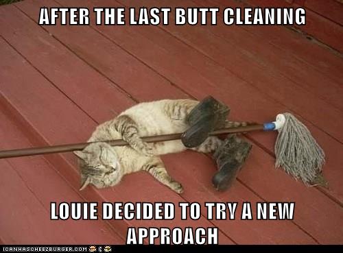LOUIE DECIDED TO TRY A NEW APPROACH - Lolcats - lol | cat memes | funny ...