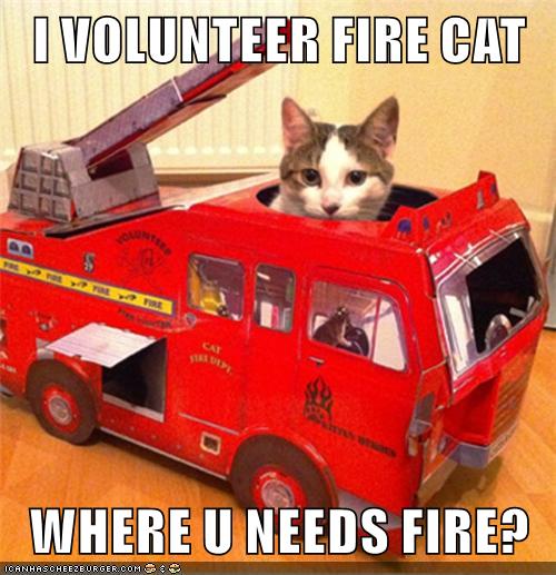 I VOLUNTEER FIRE CAT - Lolcats - lol | cat memes | funny cats | funny ...