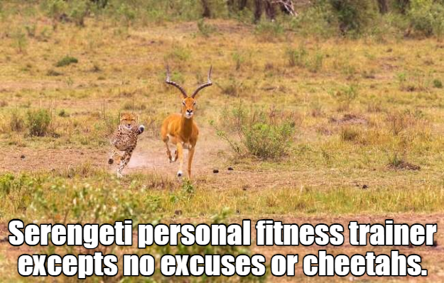 Yes, running is healthy. - Animal Comedy - Animal Comedy, funny animals ...