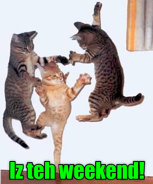 Weekend! - Lolcats - lol | cat memes | funny cats | funny cat pictures ...