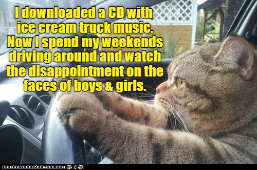 Troll level: Cat - Lolcats - lol | cat memes | funny cats | funny cat ...