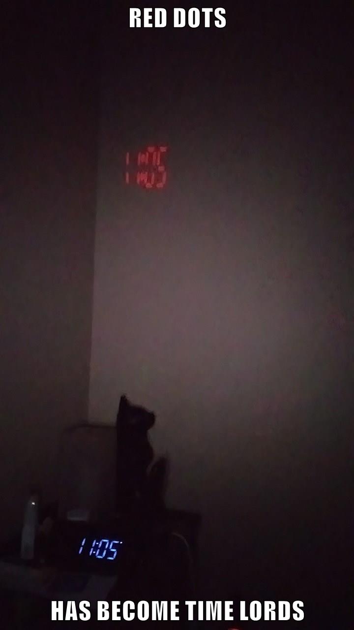 RED DOTS HAS BECOME TIME LORDS - Lolcats - lol | cat memes | funny cats ...