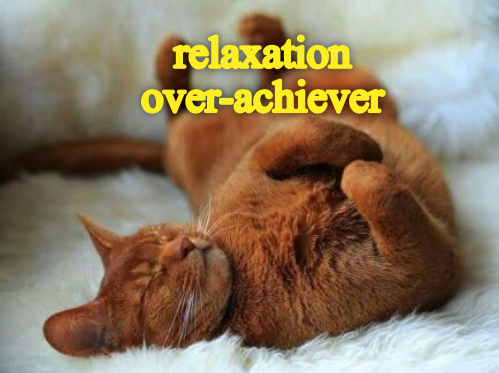 Relaxation over-achiever - Lolcats - lol | cat memes | funny cats ...
