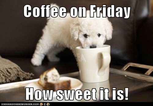 Coffee on Friday How sweet it is! - I Has A Hotdog - Dog Pictures ...