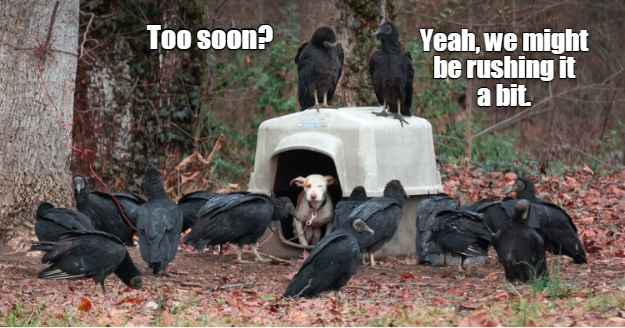 You might be rushing it... - I Has A Hotdog - Dog Pictures - Funny ...