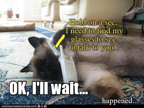 I'll wait. - Lolcats - lol | cat memes | funny cats | funny cat ...