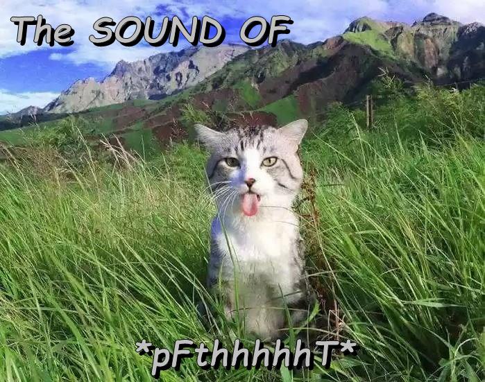 The SOUND OF *pFthhhhhT* - Lolcats - lol | cat memes | funny cats ...