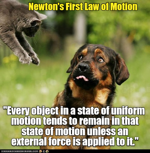 The Law of Inertia - I Has A Hotdog - Dog Pictures - Funny pictures of ...