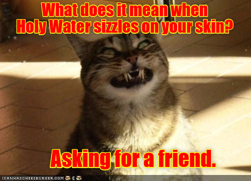 Sure you are. - Lolcats - lol | cat memes | funny cats | funny cat ...
