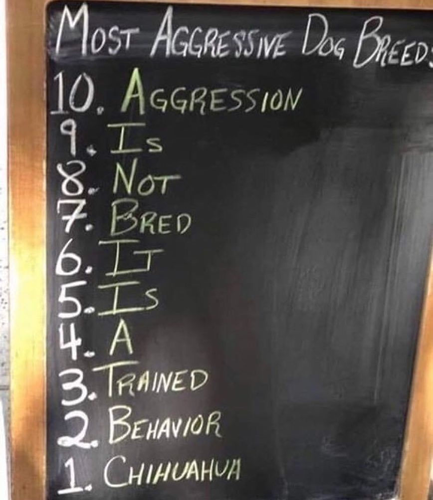 Napoleon Complex Meme