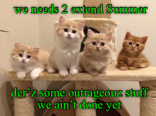 SUMMER EXTENSION REQUEST - Lolcats - lol | cat memes | funny cats ...