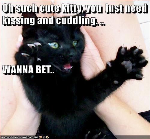 Oh such cute kitty, you just need kissing and cuddling. .. WANNA BET ...