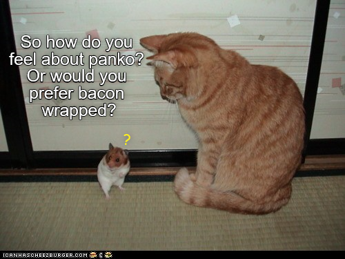 Bacon wrapped of course - Lolcats - lol | cat memes | funny cats ...