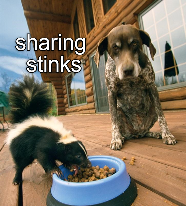 why? WHY??? - I Has A Hotdog - Dog Pictures - Funny pictures of dogs ...