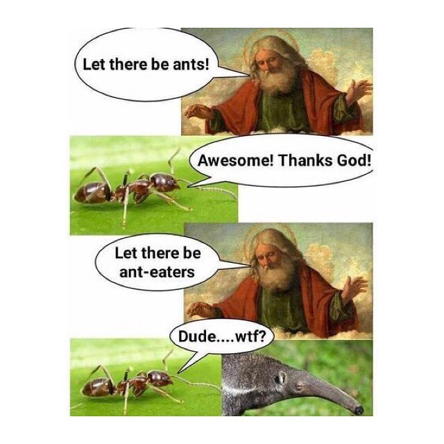 How Rude Meme Rude Meme Original!!! YouTube