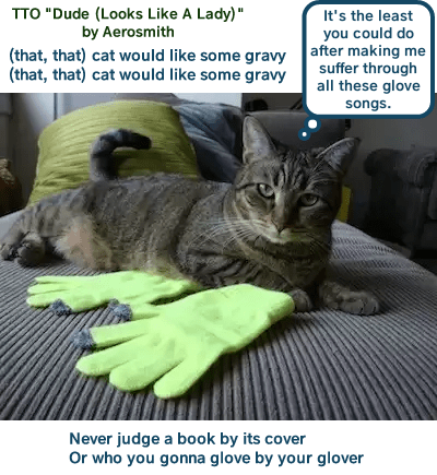 TTO "Dude (Looks Like A Lady)" by Aerosmith - Lolcats - lol | cat memes ...