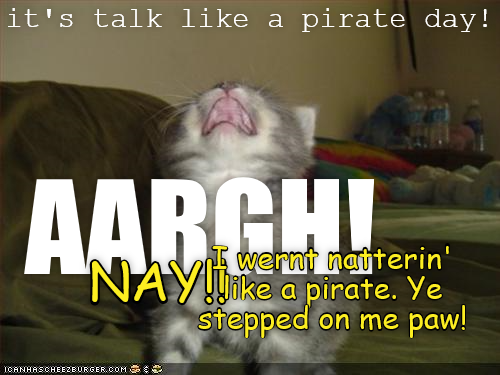 AAARGH! - Lolcats - lol | cat memes | funny cats | funny cat pictures ...