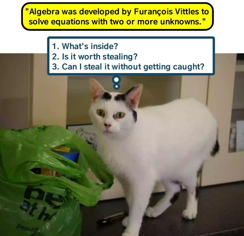 KKPS skolar Kibby on algebra's origins - Lolcats - lol | cat memes ...