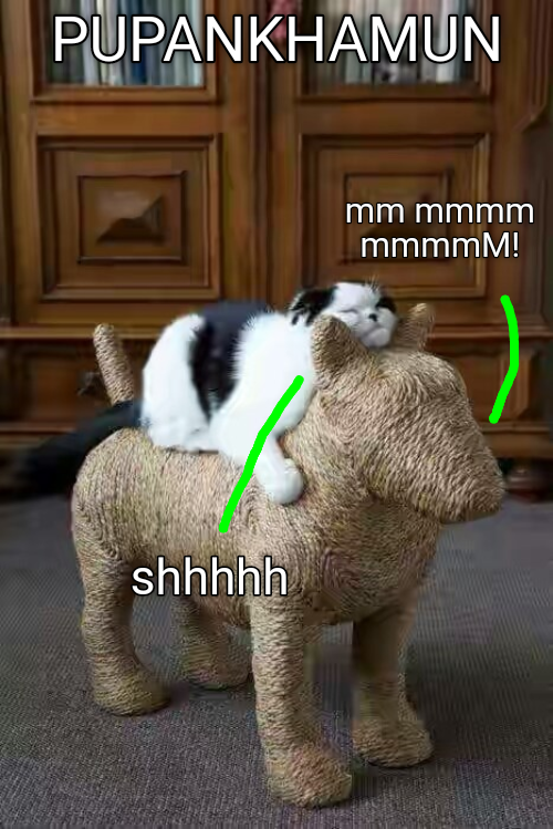 Dr Tinycat, my brain hook pls - Lolcats - lol | cat memes | funny cats ...