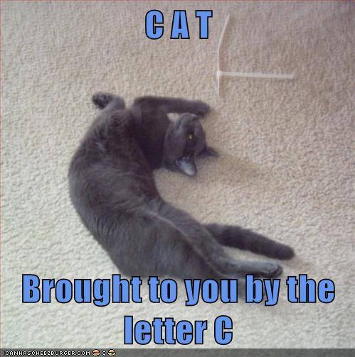 C A T Brought to you by the letter C - Lolcats - lol | cat memes ...