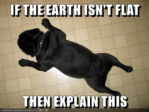 IF THE EARTH ISN'T FLAT THEN EXPLAIN THIS - I Has A Hotdog - Dog ...