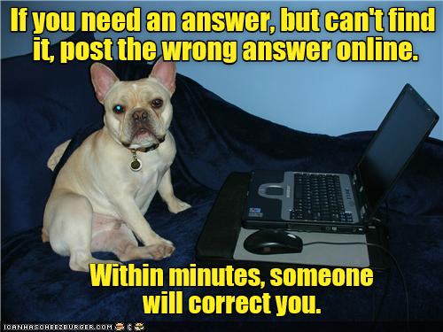 Google has met its match - I Has A Hotdog - Dog Pictures - Funny ...