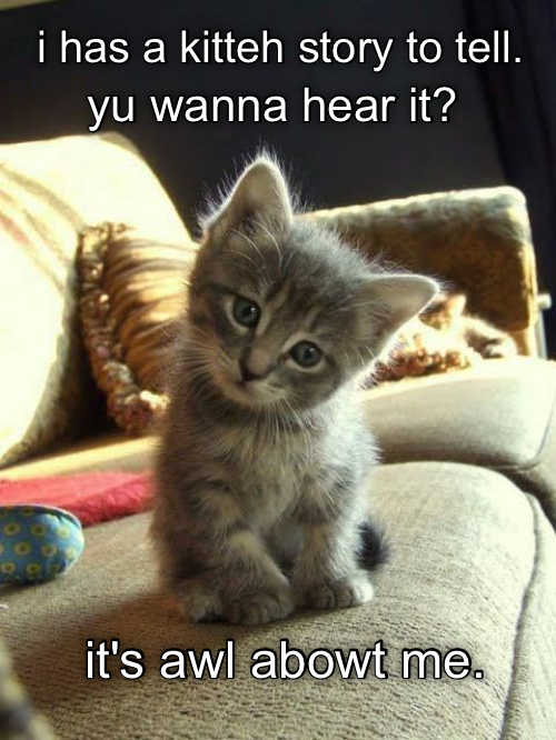 You'll love it! Trust me! - Lolcats - lol | cat memes | funny cats ...