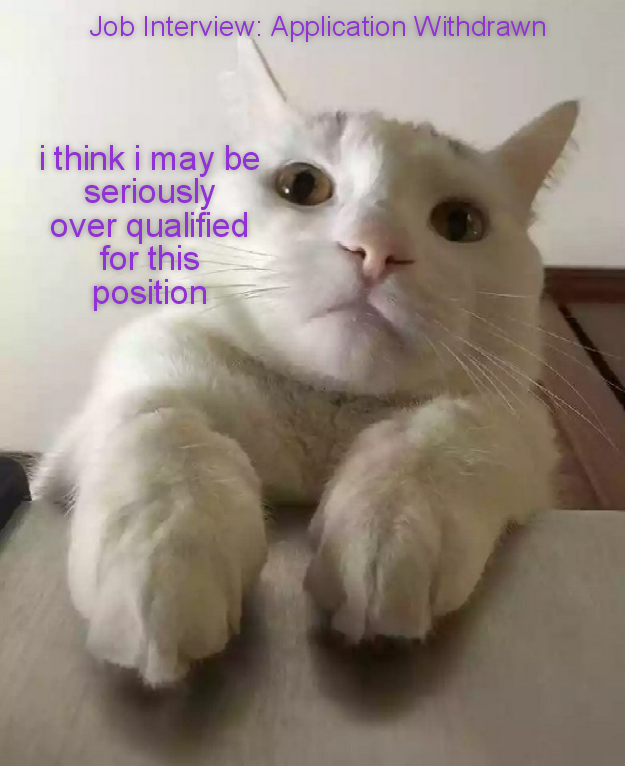 Job Interview: Application Withdrawn - Lolcats - lol | cat memes ...