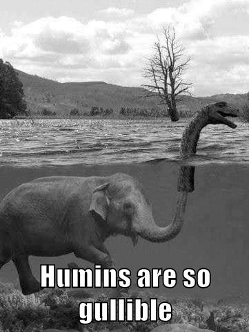 Humins are so gullible - Animal Comedy - Animal Comedy, funny animals ...