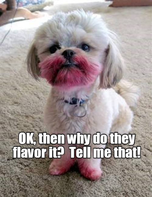Tell me why - I Has A Hotdog - Dog Pictures - Funny pictures of dogs ...