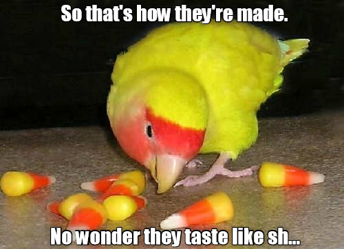 Why everyone hates candy corn. - Animal Comedy - Animal Comedy, funny ...