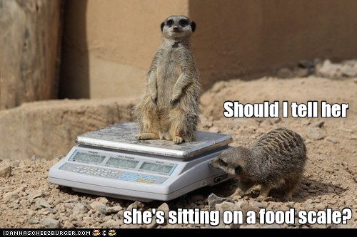 Does my weight really matter? - Animal Comedy - Animal Comedy, funny ...