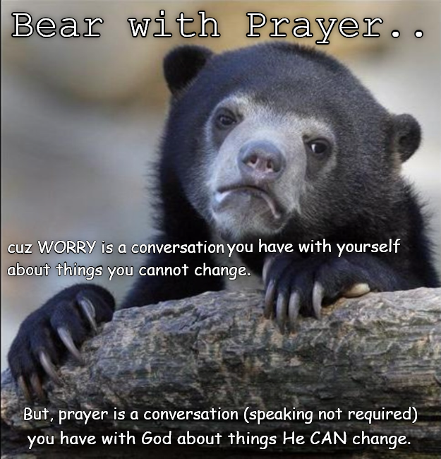 Bear with Prayer - Animal Comedy - Animal Comedy, funny animals, animal ...